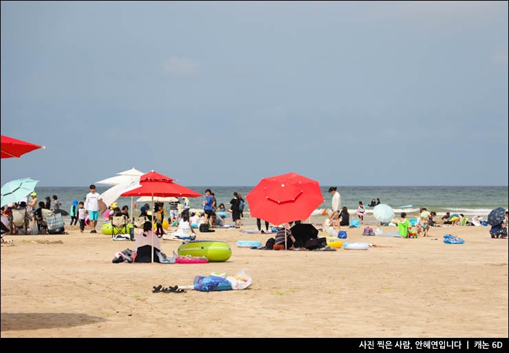 제주 동부 여행 제주도 표선 여름 바다 제주 표선해수욕장 네이버 블로그