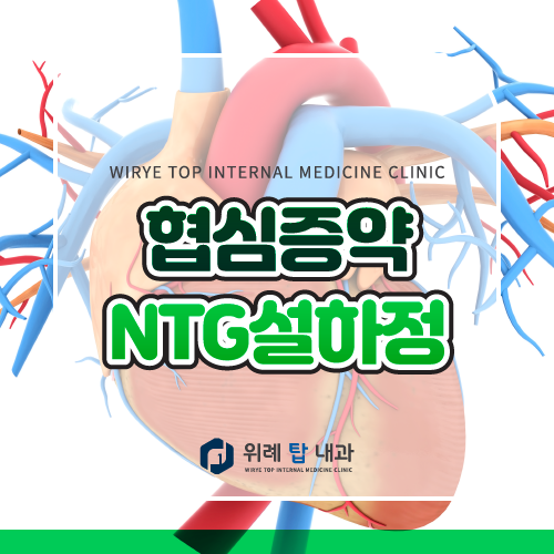 니트로글리세린 보관방법과 복용법 부작용은 네이버 블로그