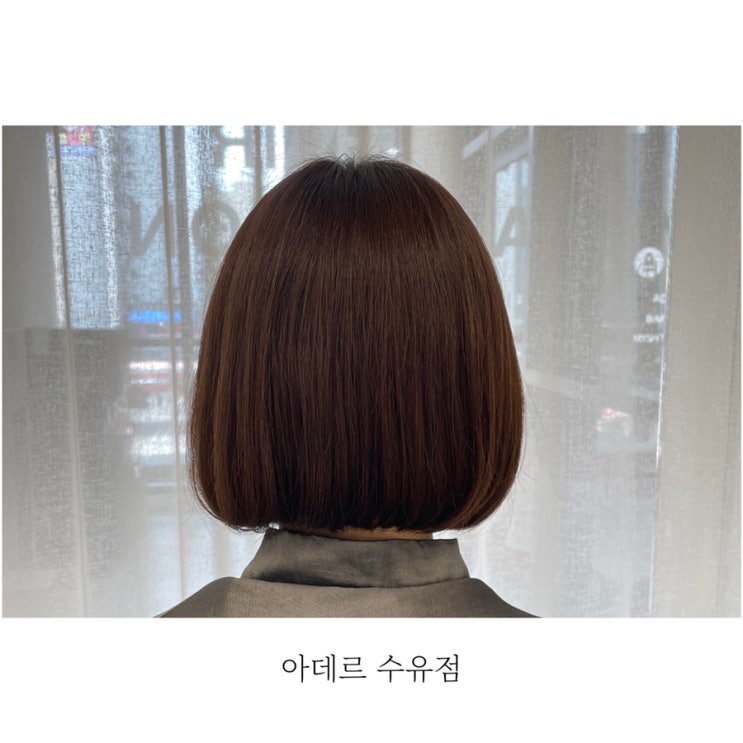 수유역 미용실 아데르수유점 클리닉 후기 With 엘리아 원장님 네이버 블로그