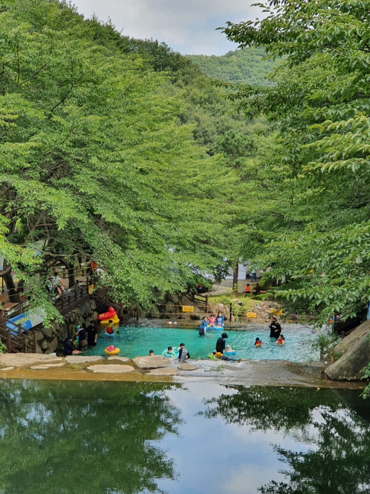 보성 제암산자연휴양림 물놀이 광주 근교 취사가능 계곡 네이버 블로그