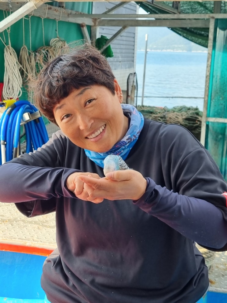 스쿠바 다이빙은 경남 통영스쿠바 캠프에서 : 네이버 블로그