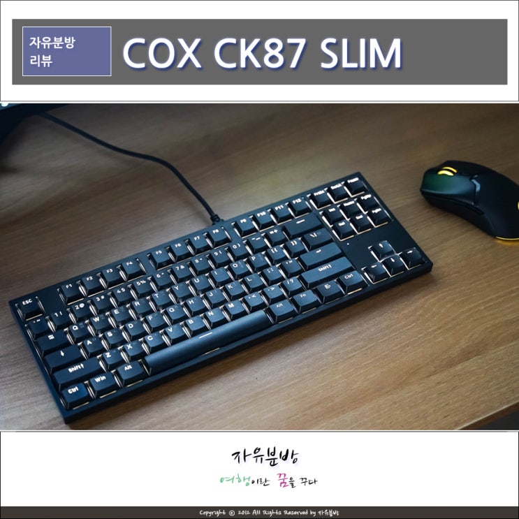 슬림형 갈축 기계식키보드, COX CK87 SLIM 텐키리스 : 네이버 블로그