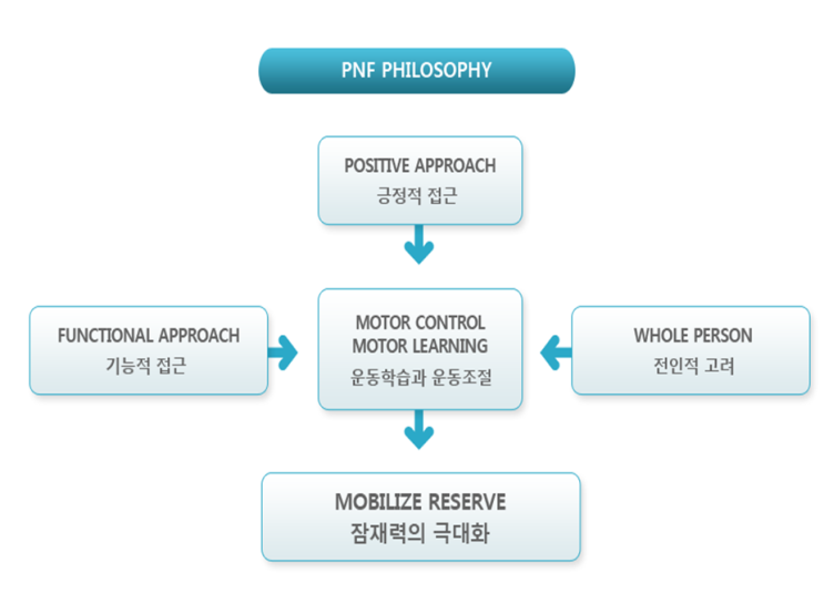 PNF Basic 코스 수료 : 네이버 블로그