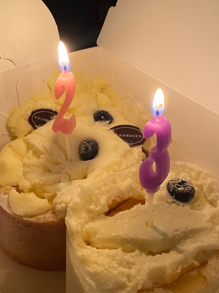 Wrrryyyyy : 네이버 블로그