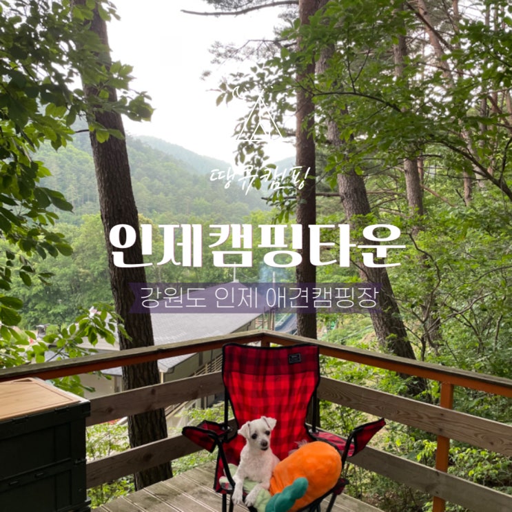 땡큐캠핑 | 인제캠핑타운 애견동반 2박3일 FMD1 후기 : 네이버 블로그