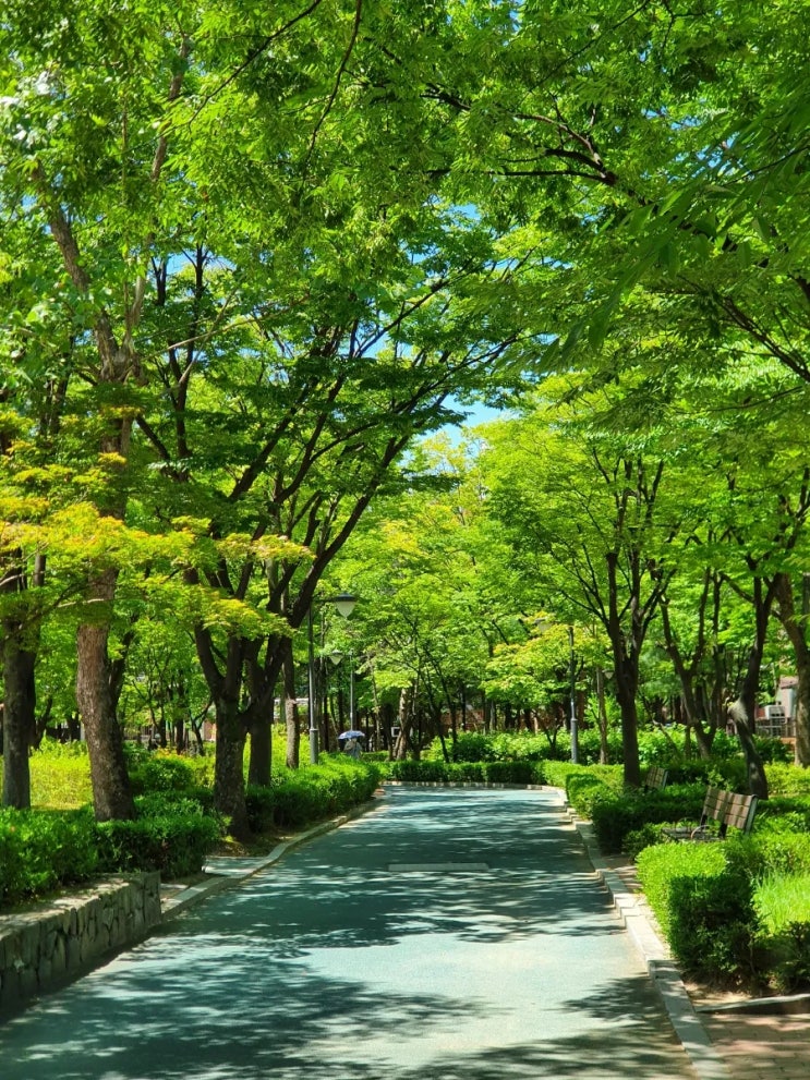 집으로 뫼시겠나이다 : 네이버 블로그