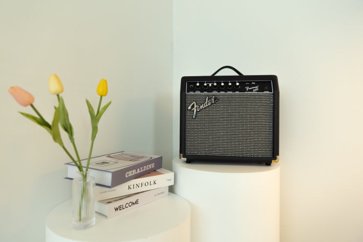 펜더 FRONTMAN 20G 직관적인 디자인의 일렉기타앰프 : 네이버 블로그