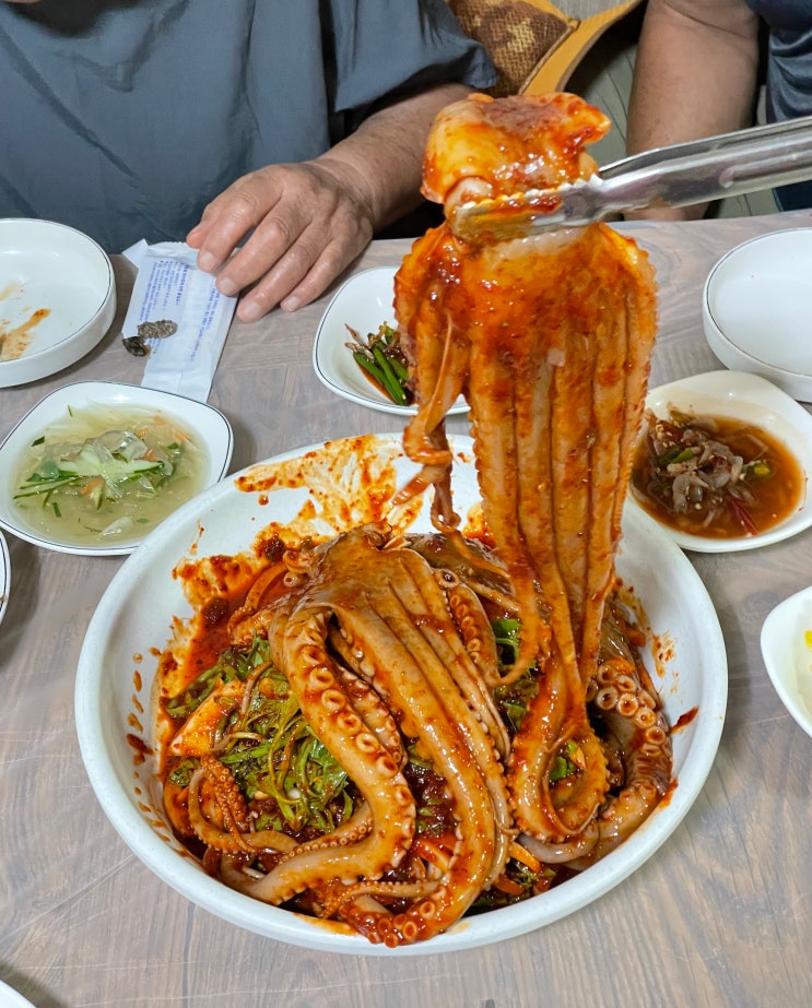 목포 한일시장 무안먹거리 낙지초무침 전문 맛집 현지인이 알려주는 찐맛집 네이버 블로그