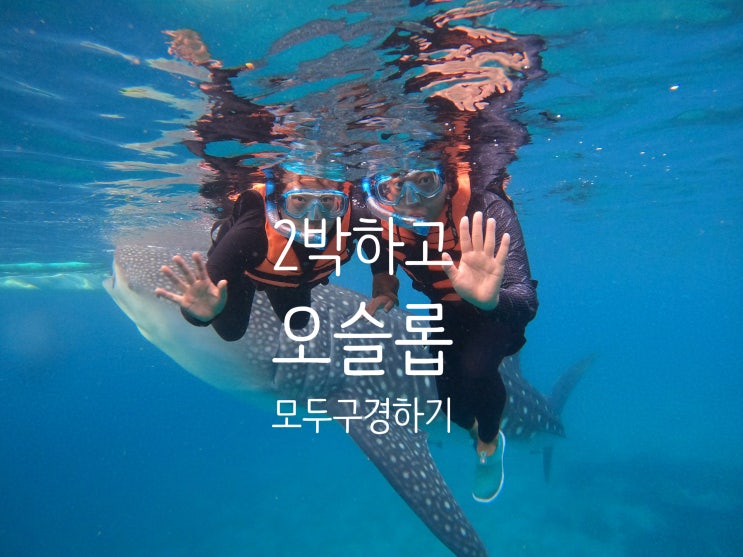 필리핀 자유여행 세부 오슬롭 고래상어 수밀론 투말록폭포 셀프투어 네이버 블로그