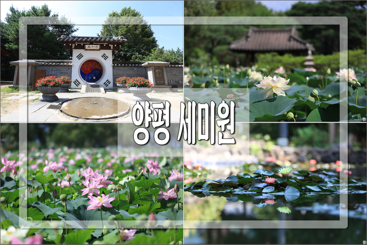 양평 세미원 연꽃축제 연꽃문화제 외 볼거리 경기도 양평 가볼만한곳 주차 정보 네이버 블로그