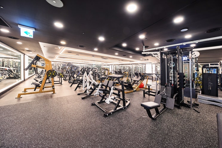 최고의 Gym에서 최고의 전문가에게 무료 Ot를 받아 보시겠어요~ 가락동gx가락동헬스장가락동골프장가락동아쿠아가락동