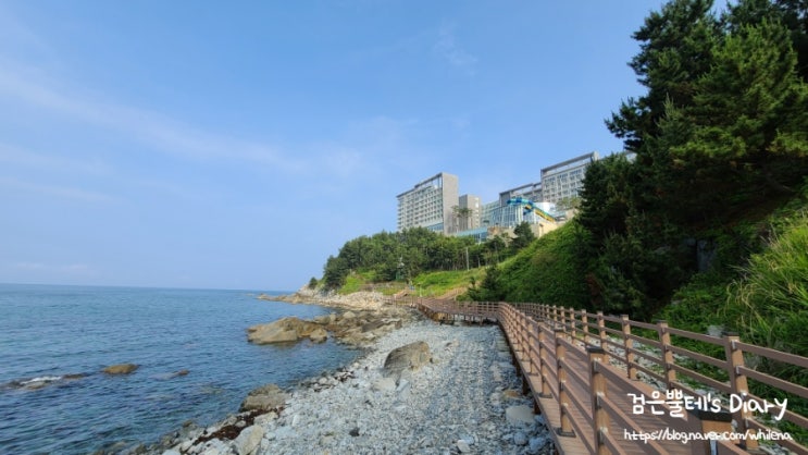 아이랑 속초여행2 속초 롯데리조트 디럭스 내추럴소울키친 오션플레이 워터파크 외옹치항 산책로 후기 네이버 블로그