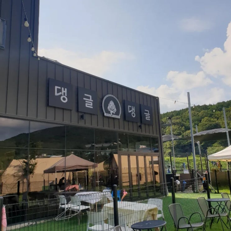 댕글댕글 글램핑 운동장과 수영장이 있는 장성 반려견 동반 글램핑장 내돈내산 후기 네이버 블로그