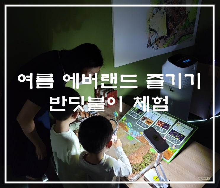 에버랜드 반딧불이 축제 체험 로스트밸리 네이버 블로그