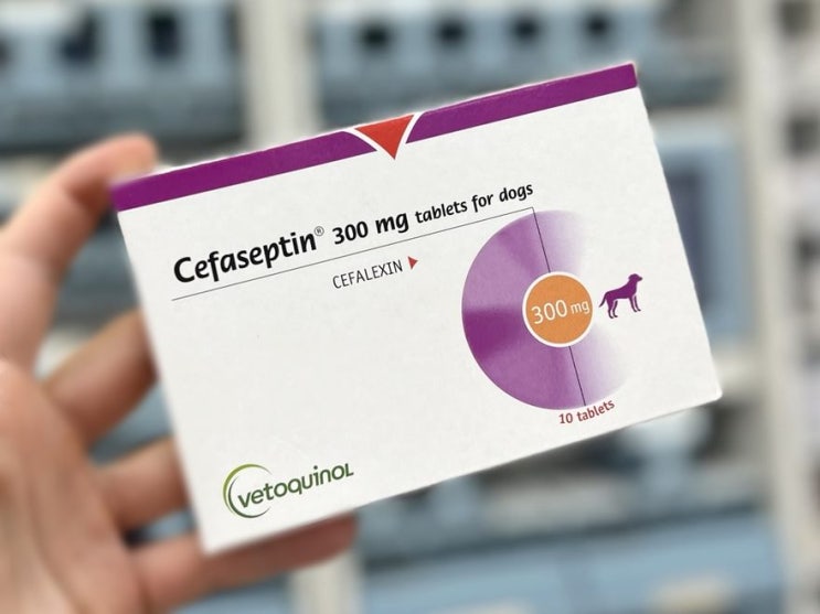 세파셉틴 Cefaseptin, 강아지 농피증 항생제(feat. 세파메딘) : 네이버 블로그