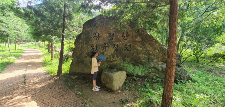 충북옥천 여행 아이들과가볼만한곳 장령산자연휴양림 휴양관 물놀이 출렁다리 치유의숲 놀이터 네이버 블로그