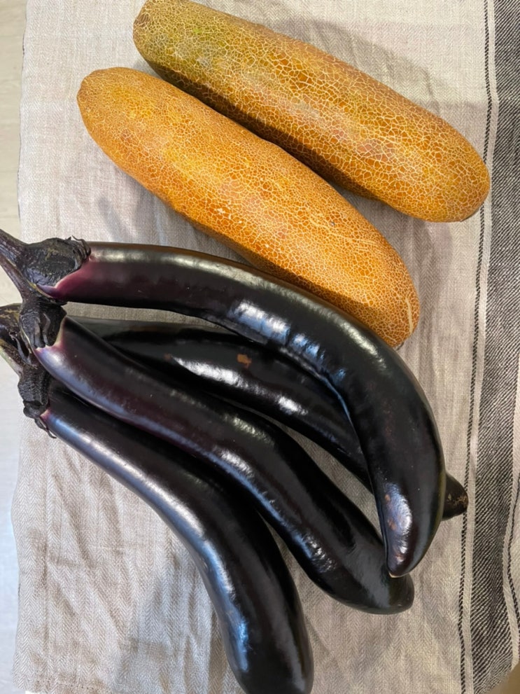 220730-0804 : : 네이버 블로그