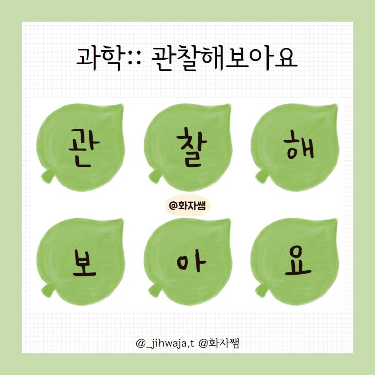 도안 과학 관찰해보아요 나뭇잎 네이버 블로그
