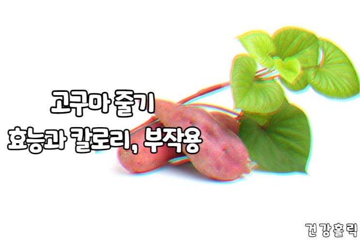 고구마줄기 효능과 부작용 칼로리는 네이버 블로그