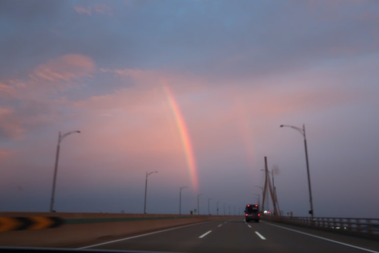 2022 여름휴가 GUAM / 인천공항 제2터미널, 두짓타니, 사진 없는 SOI와 조식식당 후기 : 네이버 블로그