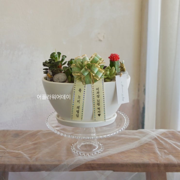 A Flower A Day 어플라워어데이 미니화분 승진축하화분 남친승진선물 다육이화분 키우기쉬운화분 다육이키우기 승진선물추천