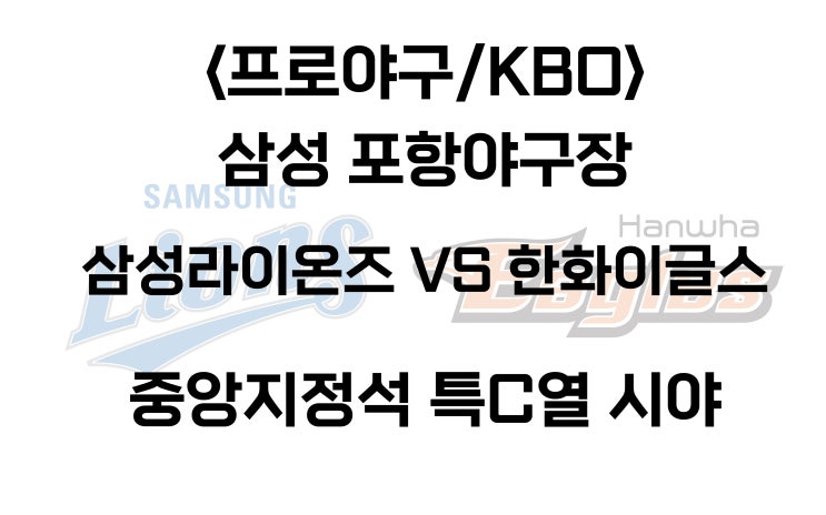 스포츠프로야구 삼성라이온즈 포항야구장 중앙지정석 좌석 시야 및 후기 네이버 블로그