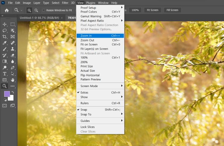 [포토샵 배우기] photoshop #4. 화면 확대-축소, 이동, 회전 도구 / zoom tool, hand tool ...