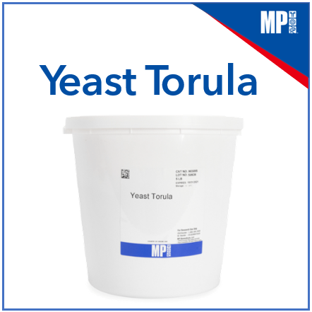 Yeast Torula : 네이버 블로그