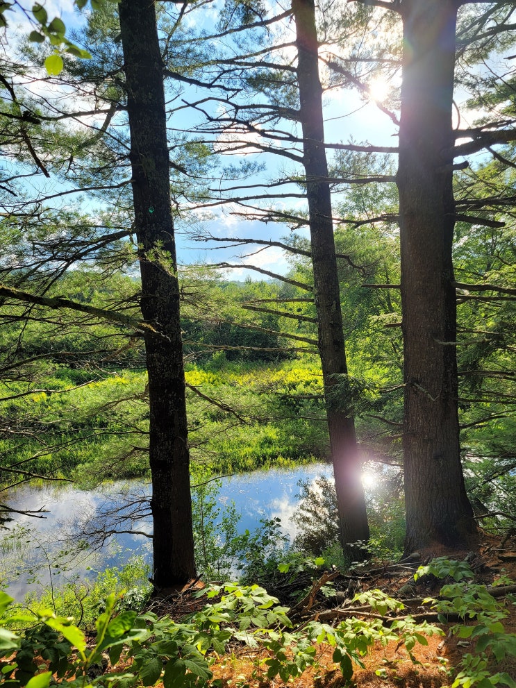 늦은 7월 러닝 결산. 그리고 풀코스 최고 기록 (Personal Best, PB) 경신 : 네이버 블로그