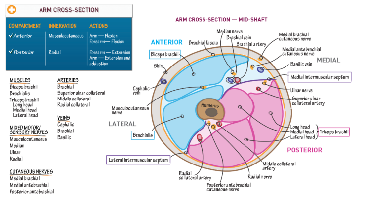 물놀이 후에 팔이 붓고 아파요 (saturday night syndrome) : 네이버 블로그