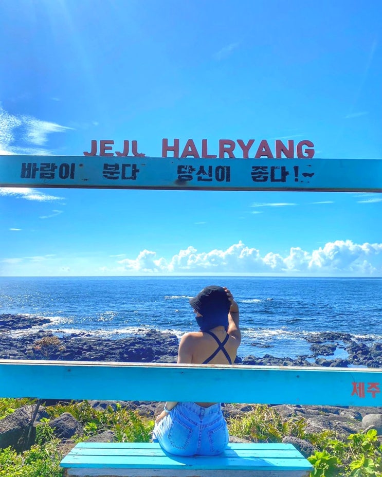 여름휴가 제주3일차 3박4일 여름여행 성산항 천진항 하우목동항 우도여행 더블유전기차 소섬전복 포토존 말과함께 우도카페