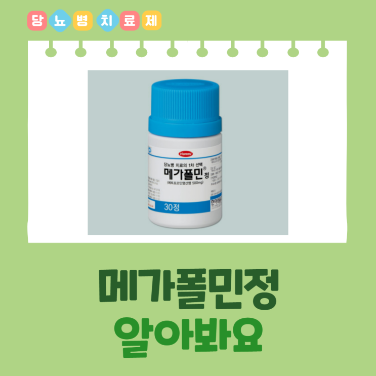 메가폴민정 효능효과 복용법 먹는법 주의사항 부작용 알아봐요 Megaformin Tab 네이버 블로그