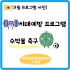 수원 주간보호센터 ㅣ 치매예방 프로그램신체활동 더운 여름에는 역시~ 수박볼 축구 네이버 블로그