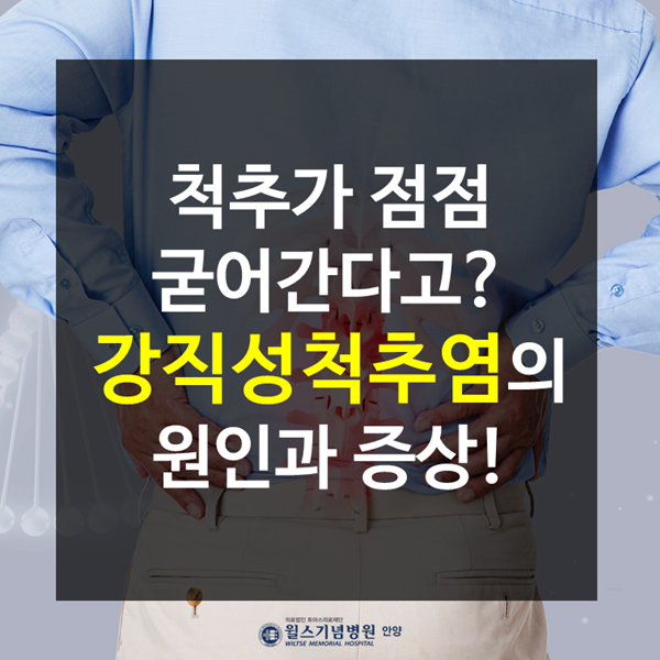 안양허리통증 척추가 점점 굳어간다고 강직성 척추염의 원인과 증상│안양윌스기념병원 네이버 블로그