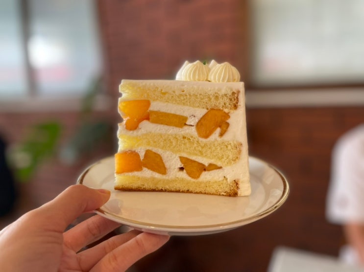 창원 중앙동 카페 우나돌체 창원 케이크 맛 1위 보장 맛집 내돈내산 네이버 블로그