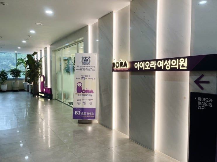 시험관 1차 2차 피검 시기 5주차 아기집 아기집 확인 시기 5주차 임신확인서 임신확인서 발급 시기 네이버 블로그