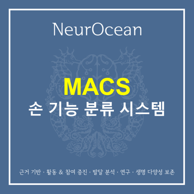 손 기능 분류 시스템(Manual Ability Classification System; MACS) : 네이버 블로그