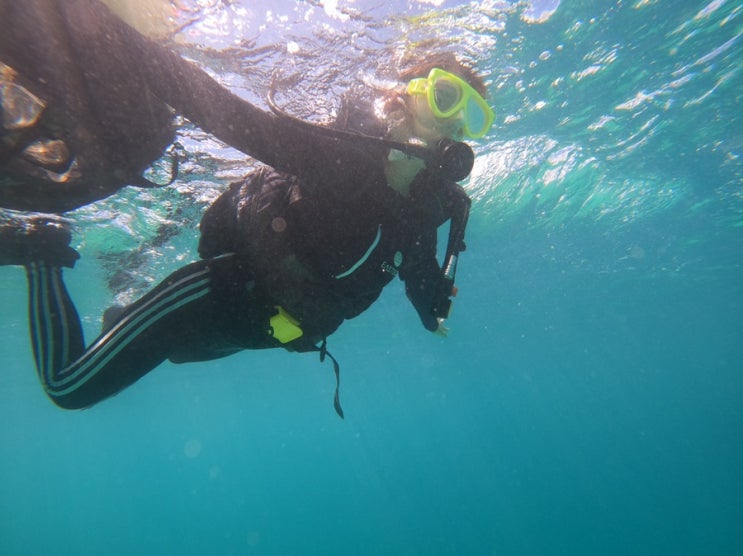 괌 4일차 - { 멕제이스쿠버 & 닛코호텔pcr결과지수령 & 더플라자pcr, RAT & 도스버거 & ROSS, GPO & 산정 ...