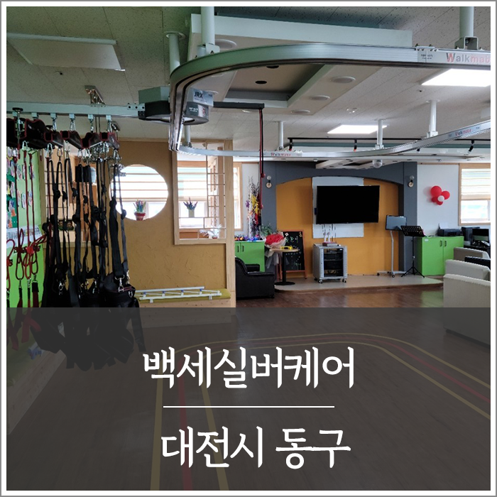 실제 사례 포함 대전시 동구 효동 백세실버케어 1등 보행 재활 기기 워크메이트로 노인재활의 1등 주간·야간 보호센터를 향해