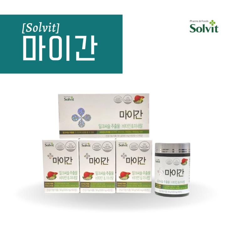 [Solvit] 🌟마이간 : 네이버 블로그