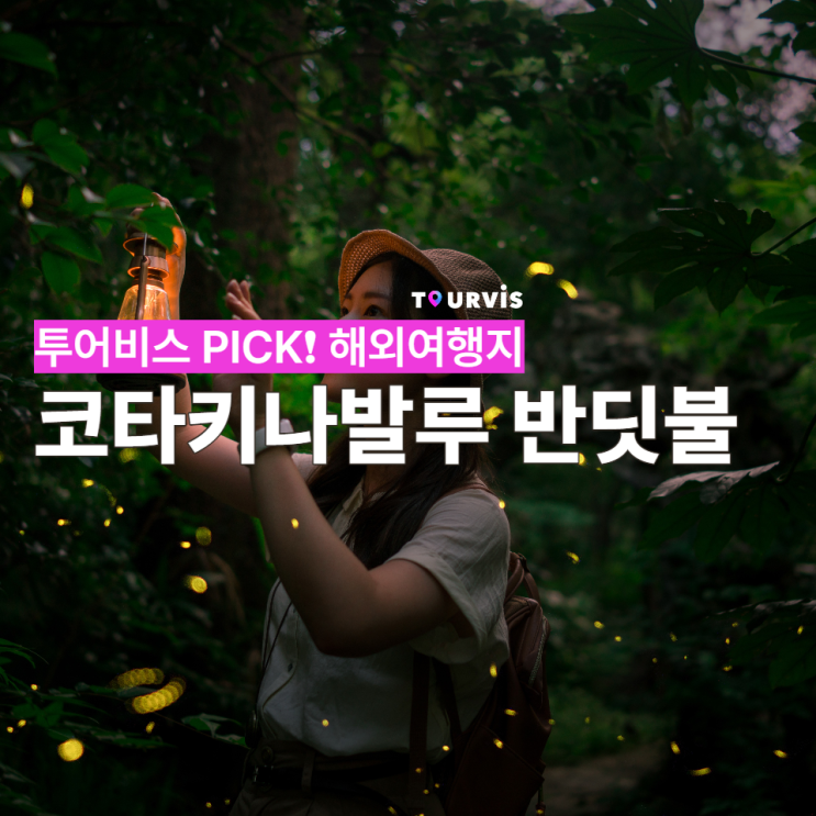 코타키나발루 반딧불투어 코타키나발루 반딧불 투어 비교 카와카와 반딧불부터 클리아스 나나문 등 코타키나발루 일일투어 추천