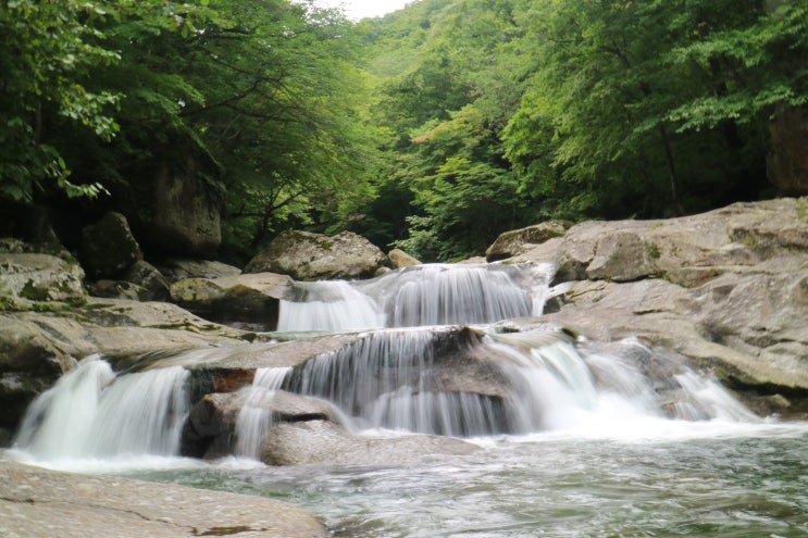 지리산 뱀사골 계곡 여름 피서 트레킹 : 네이버 블로그