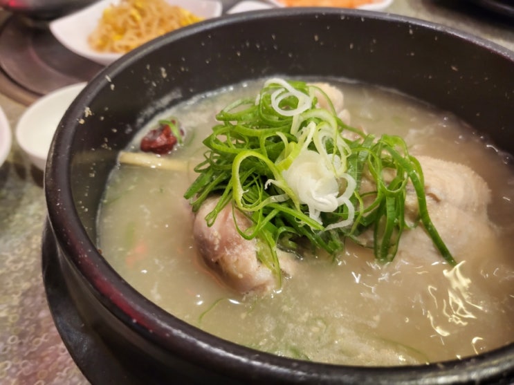 황칠나라 풍년옥 서울대입구역 맛집 해신탕으로 유명한 곳에서 중복 녹두삼계탕 네이버 블로그