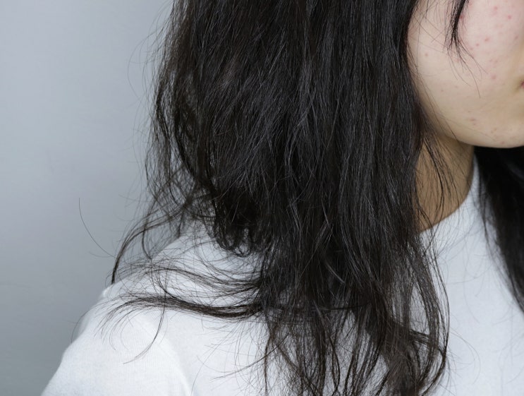 헤어에센스 사용법 간단하게 집에서 머릿결 관리 네이버 블로그