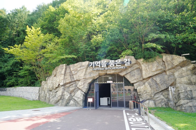 태백 가볼 만한 곳 통리 탄탄 파크오로라 파크 전국에서 가장 시원한 도시강원도 태백 1박 2일 여행 코스~ 네이버 블로그