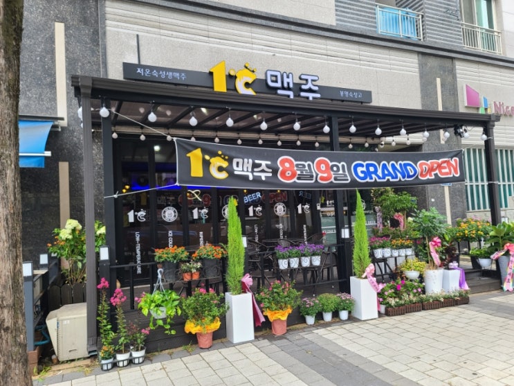 대전 봉명동 충남대 생맥주 맛집인 1도씨맥주 봉명점에 가면 살얼음이 동동떠있고 꽃들이 지천이네요 네이버 블로그