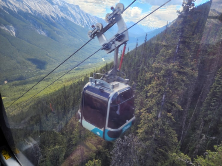 🇨🇦[캐나다록키여행]밴프곤돌라 Banff gondola/설퍼산전망대 Sulphur Mt/록키산맥 하늘에서의 식사 (전망대의 ...