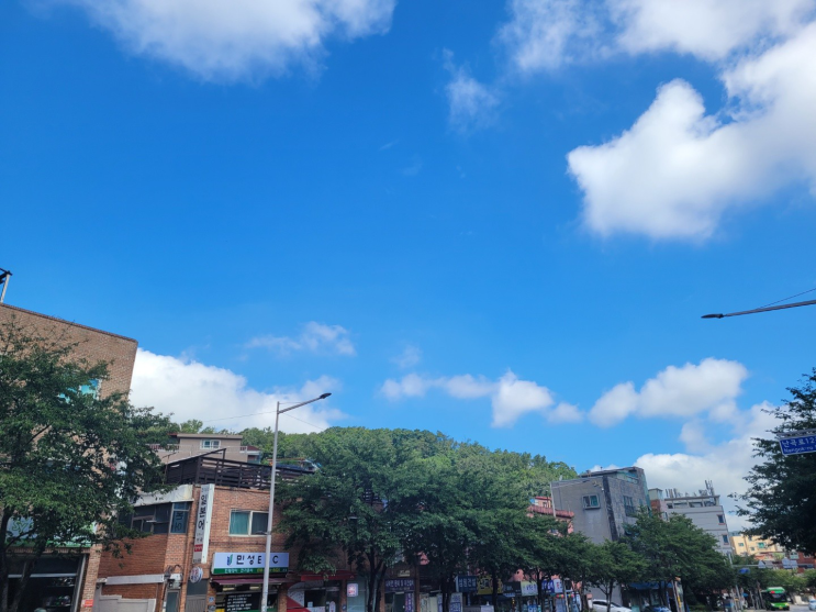 대치 고려대 고른기회 면접 대치동 다빈치학원 컨설팅 9월 추석 10월 특강 기회균등 국가보훈대상자 농어촌학생 사회배려자