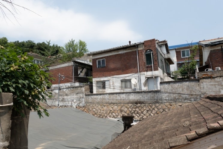 왜곡된 사진을 바르게 펴주는 Sand Ripper. : 네이버 블로그