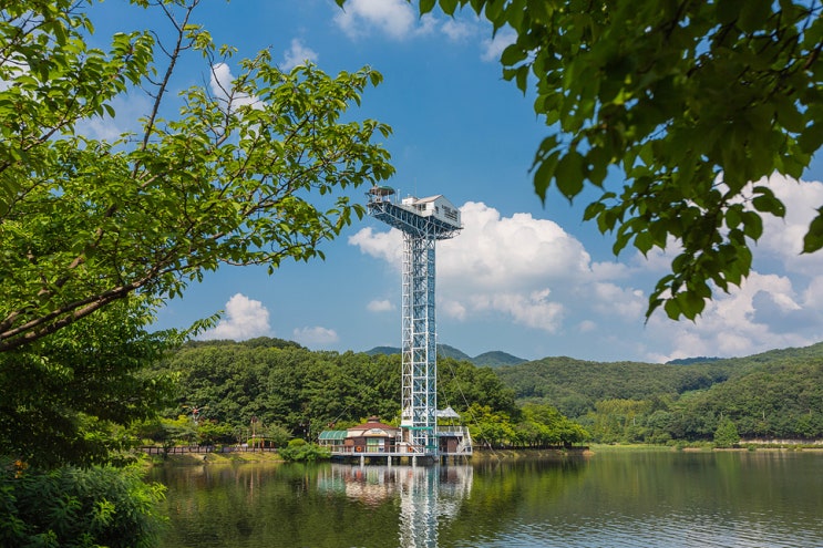 경기도 주말 나들이 율동 공원 번지점프 And 책 테마파크 두 곳 다 운영 중단 네이버 블로그